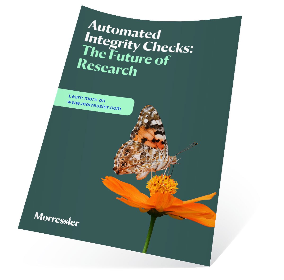 Automated integrity checks